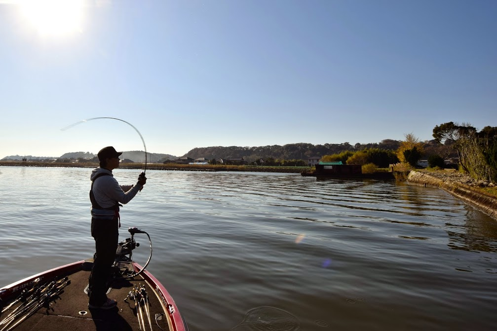 WILD SIDE Casting Rods – Arundel Tackle